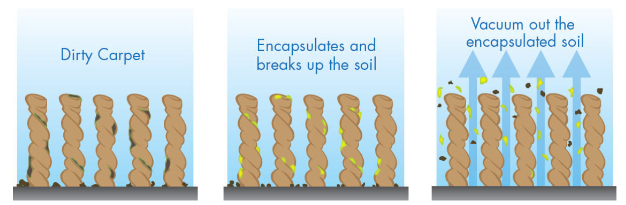 What is Encapuslation/(VLM) Carpet Cleaning? | (310) 736-2018 Revive ...