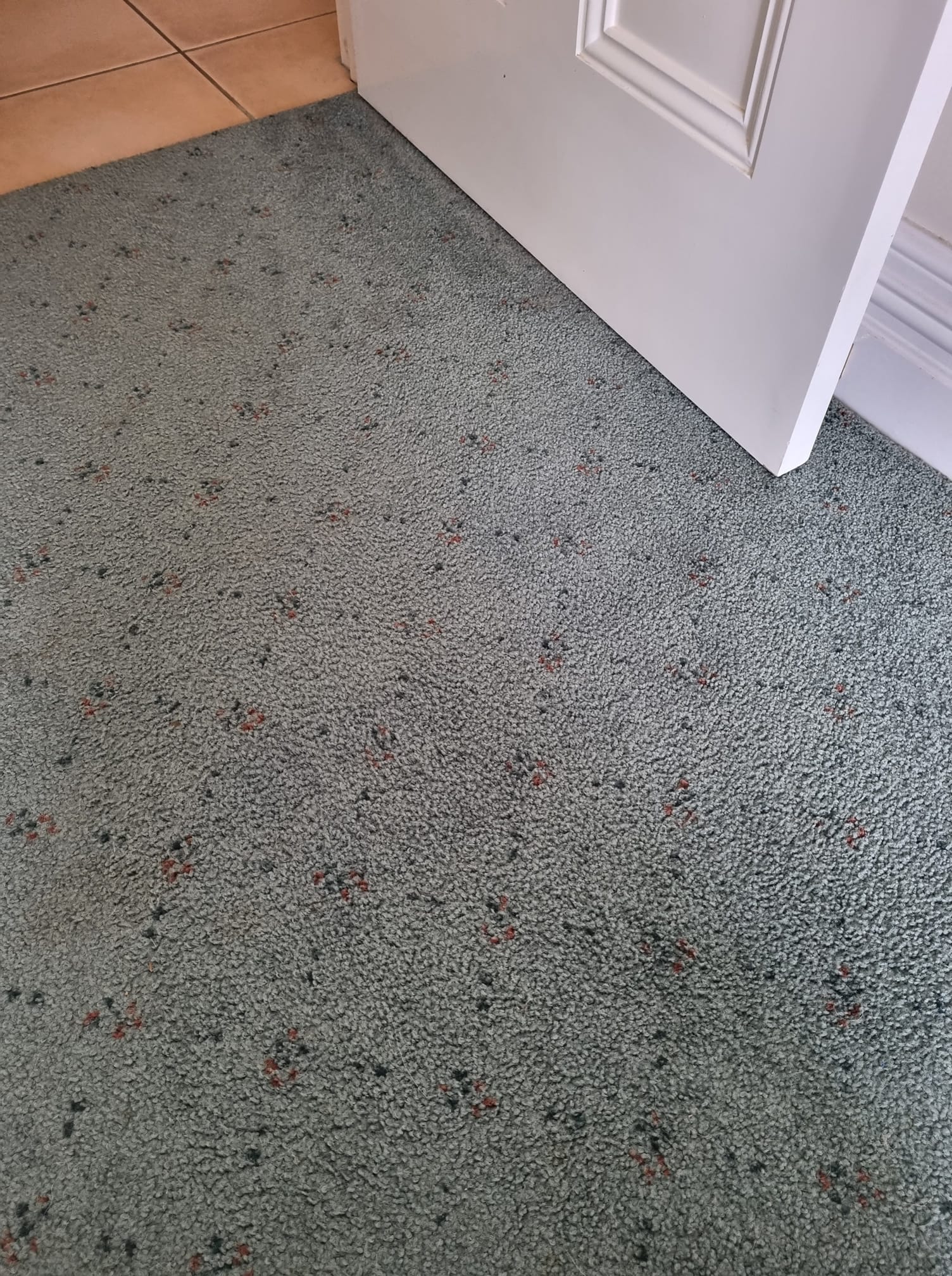 REMOVING INK SPOTS | (310) 736-2018 Revive Carpet Repair Experts-REPAIR ...