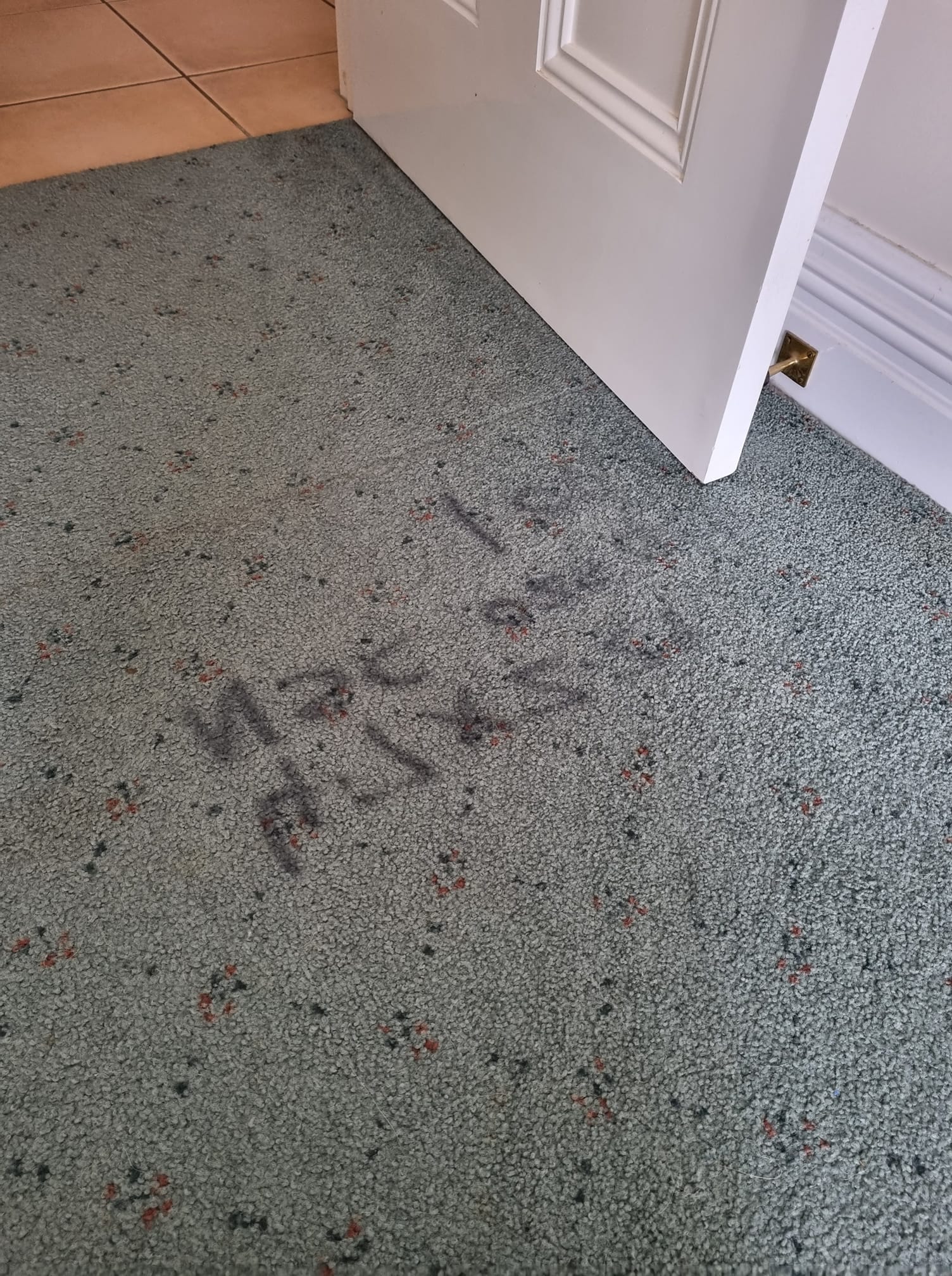 REMOVING INK SPOTS | (310) 736-2018 Revive Carpet Repair Experts-REPAIR ...